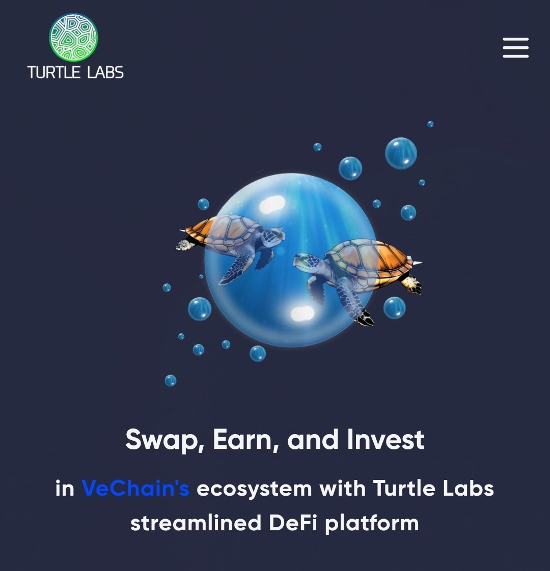 Dive Into Decentralized Finance: Discover Turtle Labs on VeChainThor Blockchain - AI Dog ...